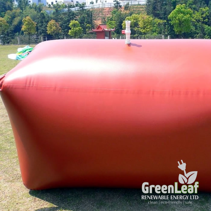 Biogas Generator - GreenLeaf Renewable Energy Ltd